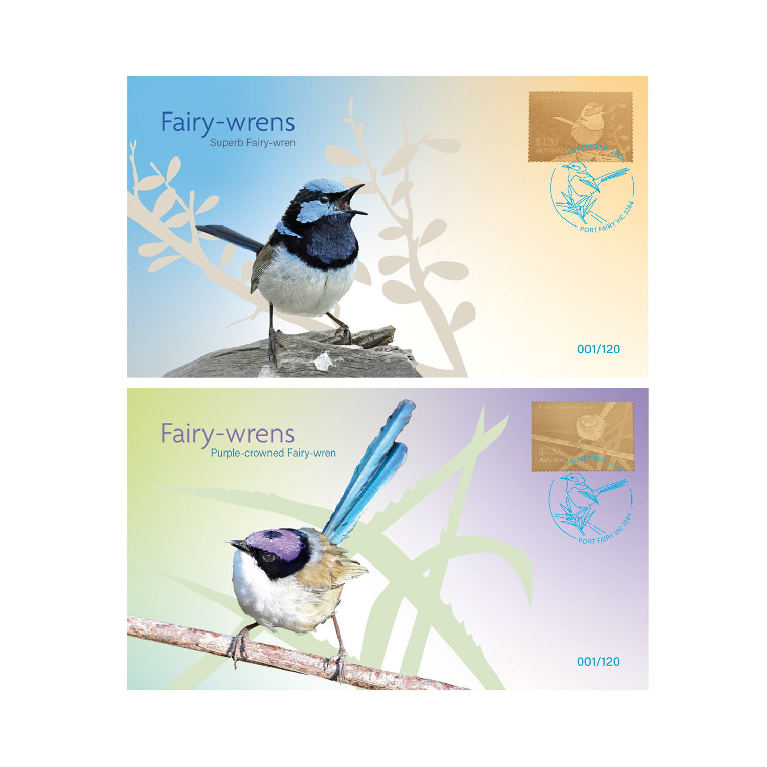 Fairy-wrens Covers Collection - View all