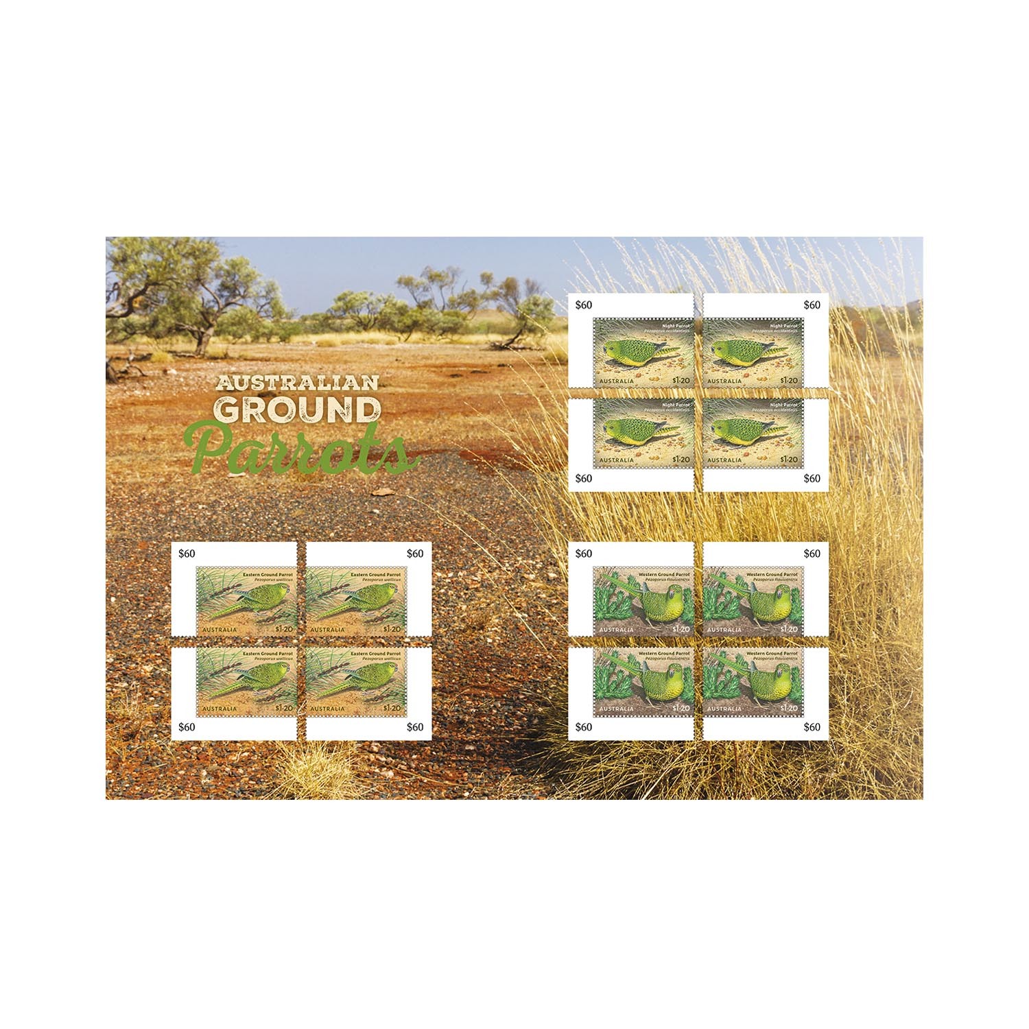 Ground Parrots Limited-Edition Medallion Collection - Medallions