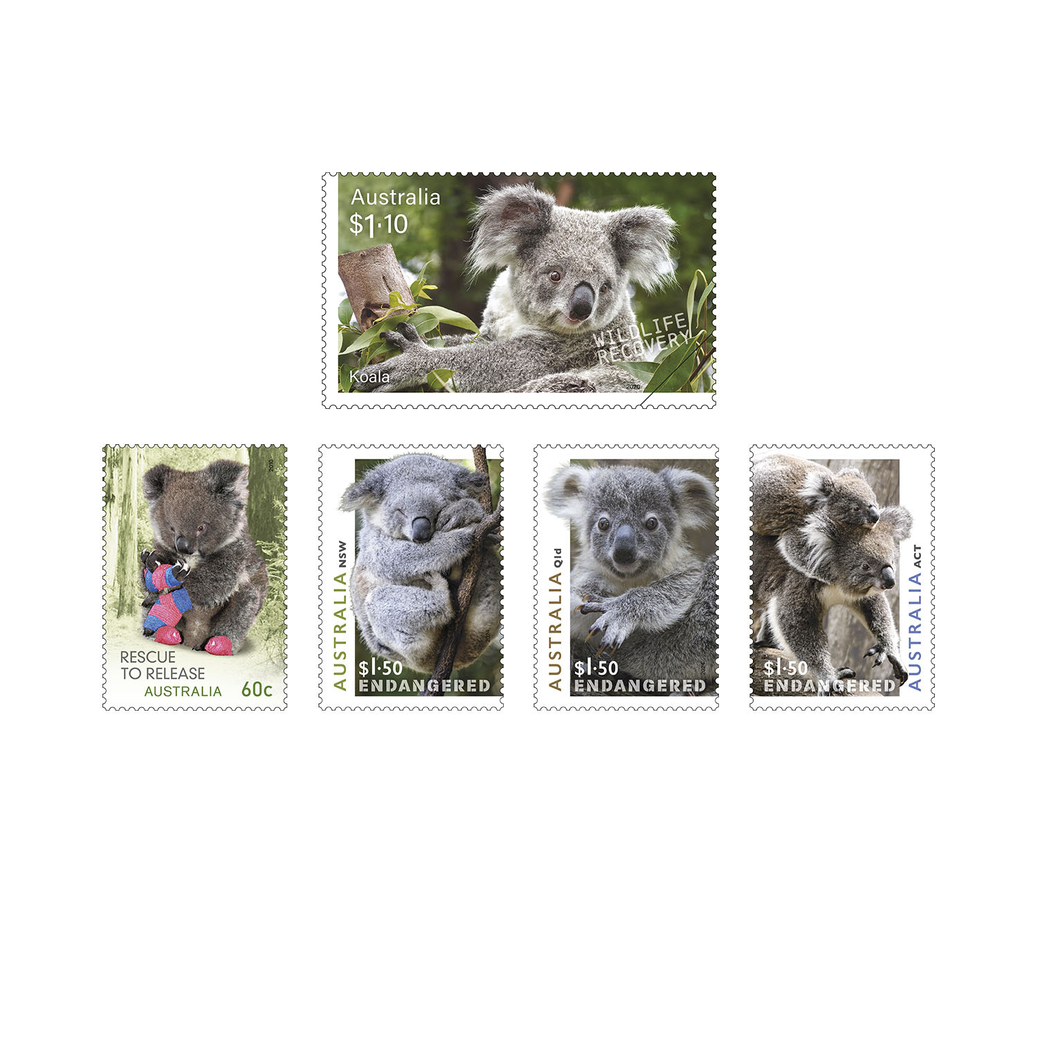 Koalas In Danger Limited-Edition Stamp Collection - Collectables