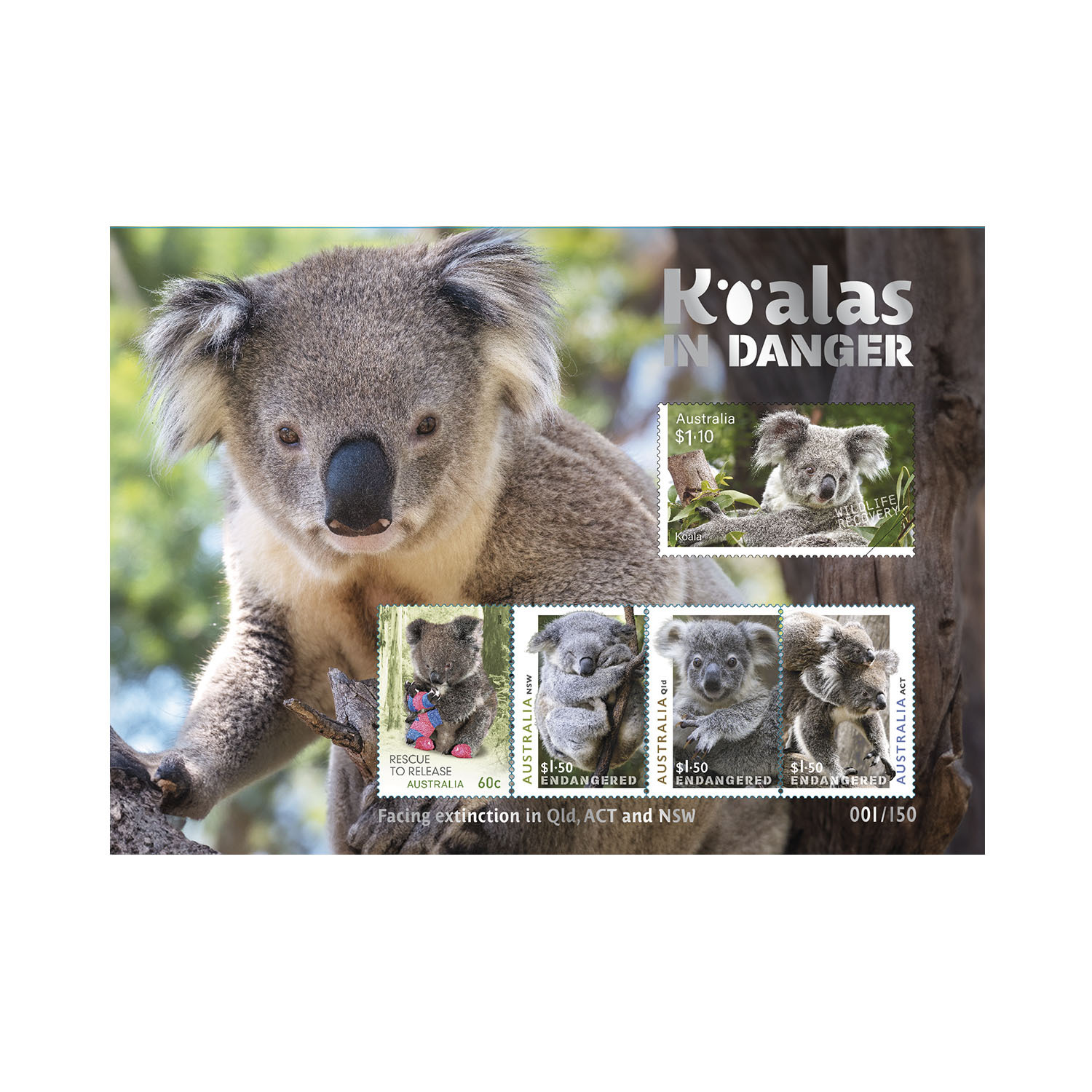 Koalas In Danger Limited-Edition Stamp Collection - Collectables