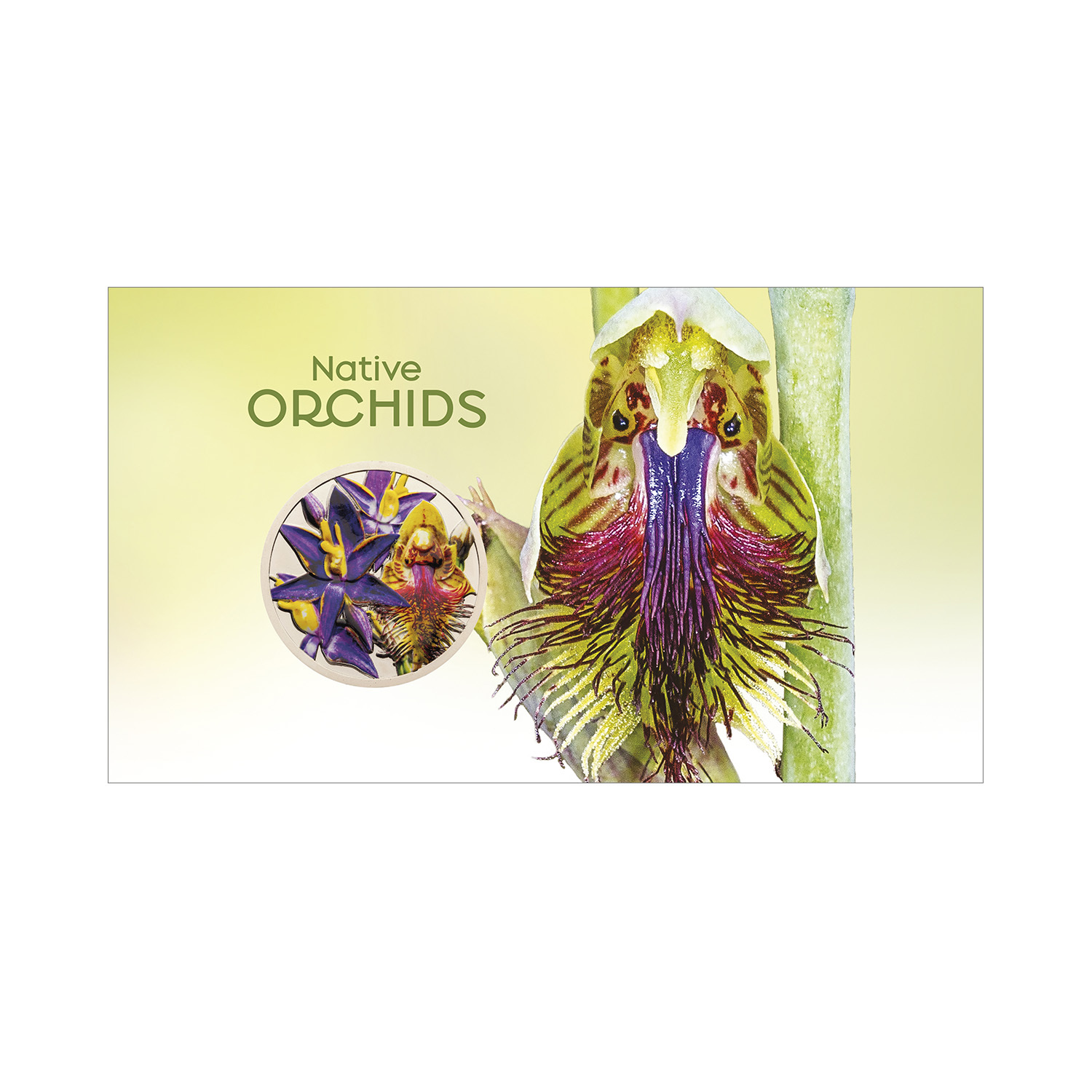 Native Orchids Limited Edition Medallion Cover - Impressions