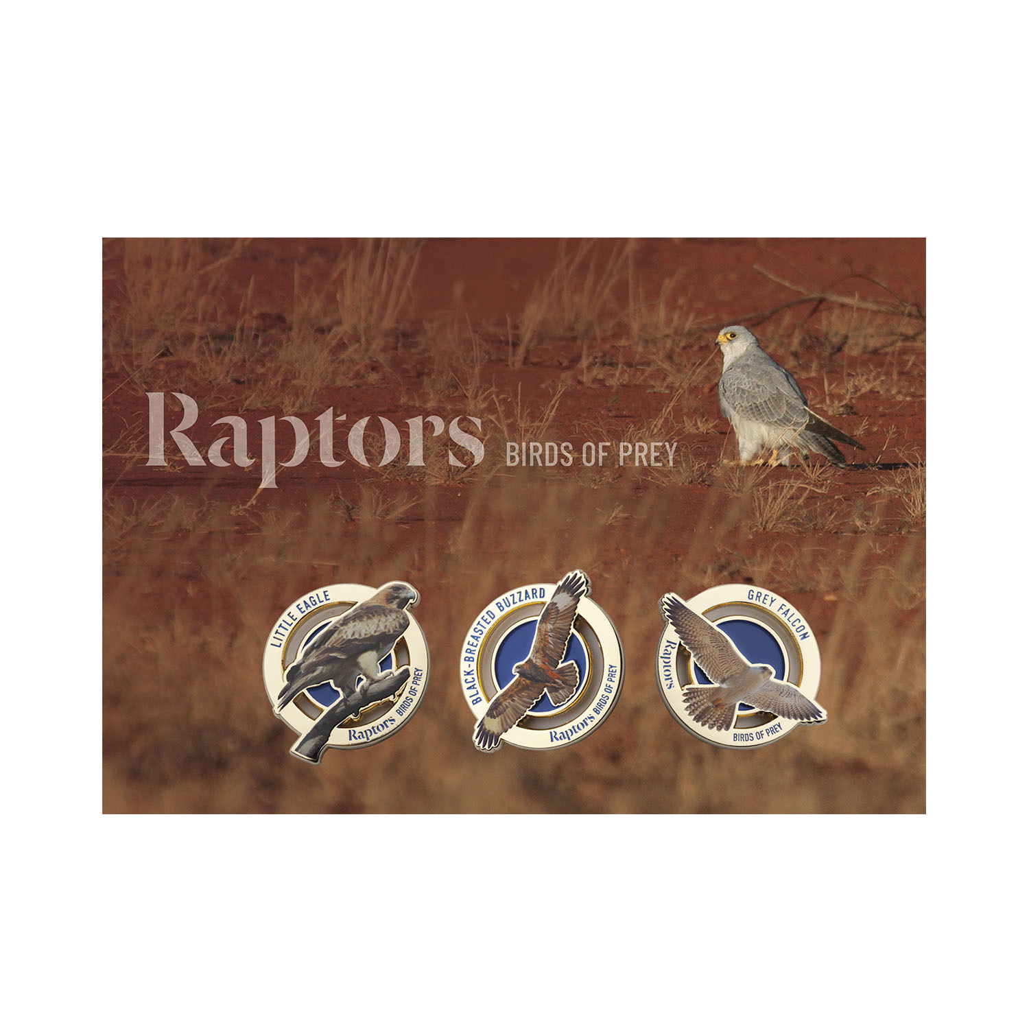 Raptors Birds Of Prey Limited Edition Three Medallion Cover - Impressions