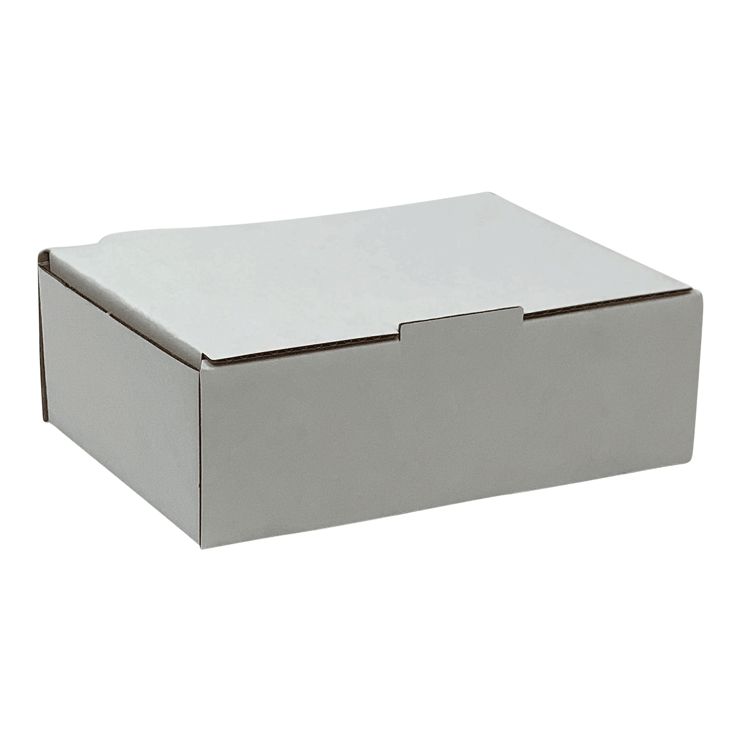 Custom Mailing Box BX1 (220 x 160 x 77mm) – White - Custom packaging